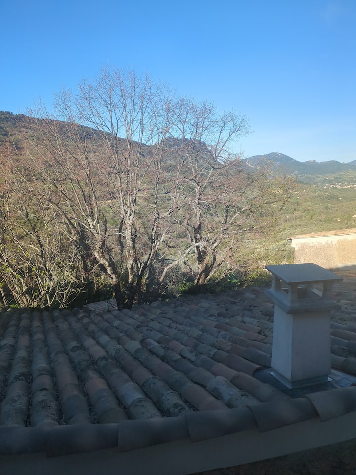 Aux Volets Bleus 2 - Buis-les-Baronnies