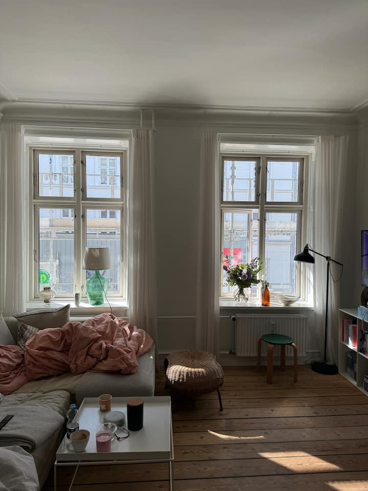 Lys Og Charmerende Lejlighed Centralt - Kopenhag