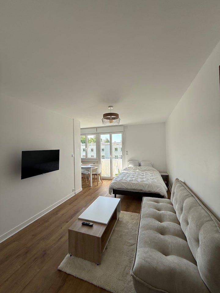 Studio Rénové Et Meublé Avec Son Balcon Ensoleillé - Mayenne