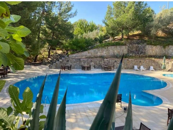 Nature View Room,pool & Breakfast In Ida Mountains - Akçay
