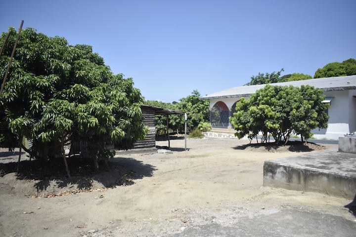 Séjour Fabuleux Au Pays: Nature Plantes Et Fruits - Ponta-negra
