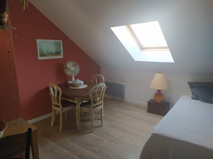 Appartement Avec Loggia Au Bord De La Loire - Chalonnes-sur-Loire