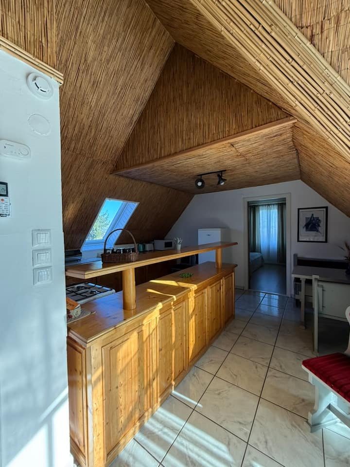 Antana Ház Terasz Apartman-badacsonyörs - Badacsony
