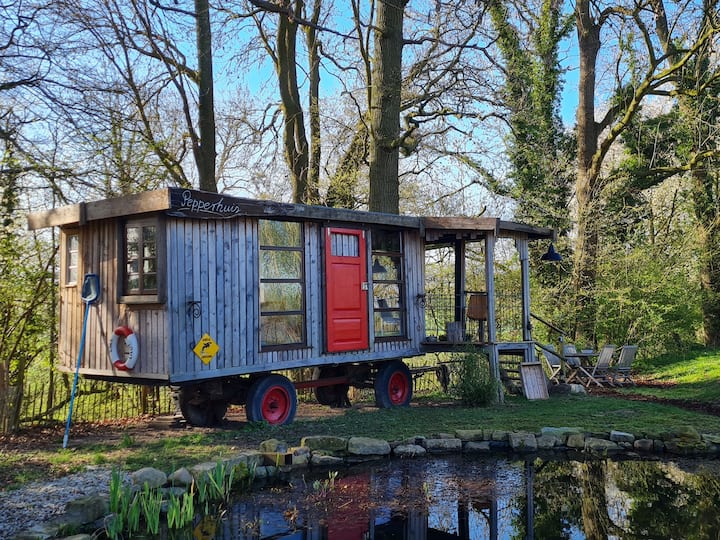 Pepper Huis - Bad Salzuflen