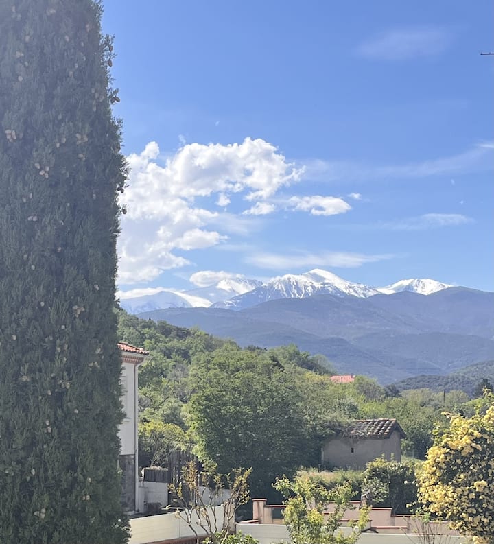 Casa Del Sol 
T3  Cosy - Vue Canigou - Céret