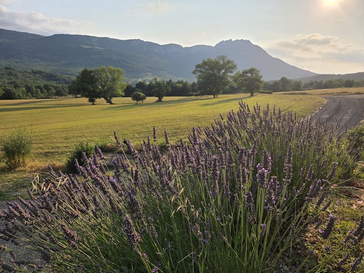 La Pauze, Là Où Le Temps S Arrête - Rennes-les-Bains