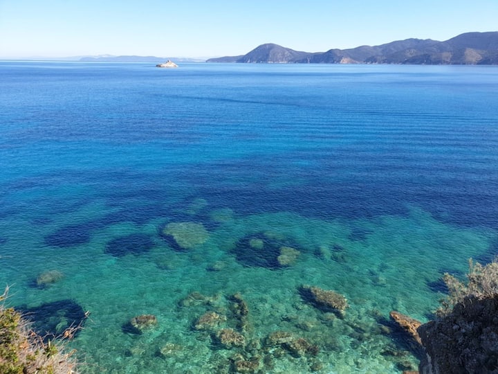 Il Marinaio - Goelba - Portoferraio