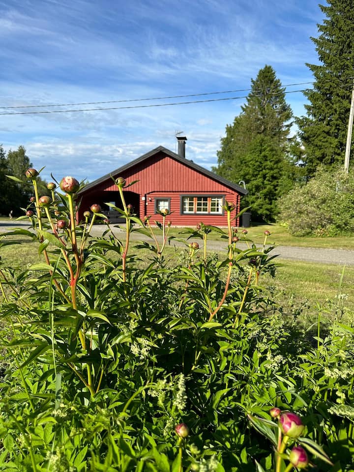Tilava Ja Viihtyisä Mökki Uurajärven Rannalla! - Laukaa