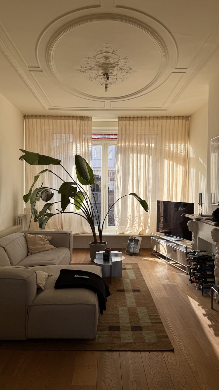 Boutique Apartment - The Hague