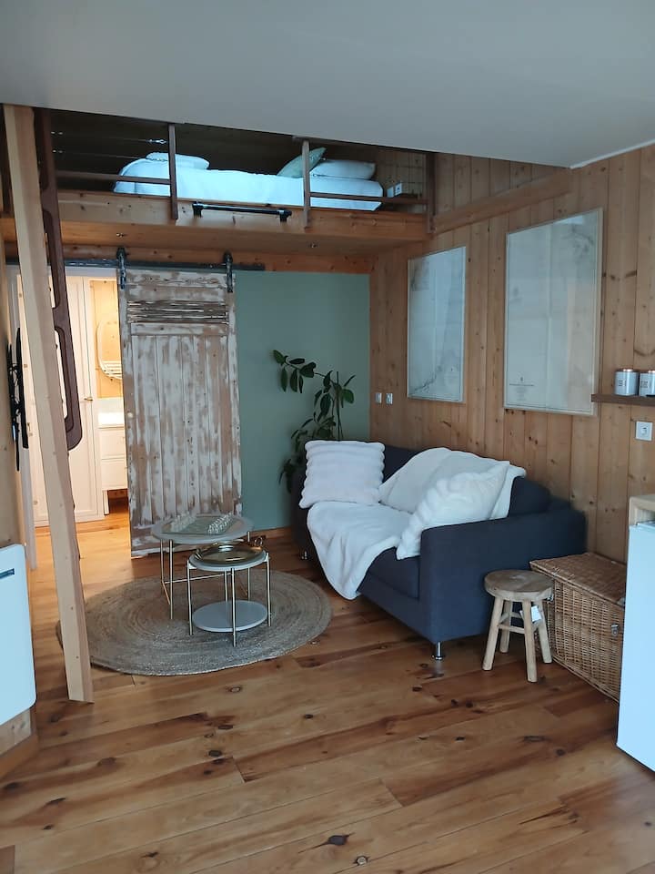 Studio Avec Mezzanine Chez Un Particulier - Saint-Jean-d'Illac