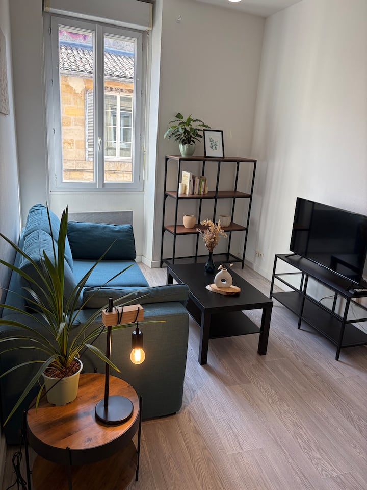 Cocon Lumineux En Plein Centre De Bordeaux - Floirac