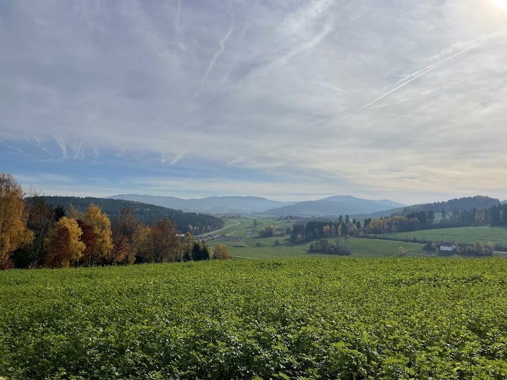 "Wo Hase Und Igel Sich Gute Nacht Sagen" - Cham