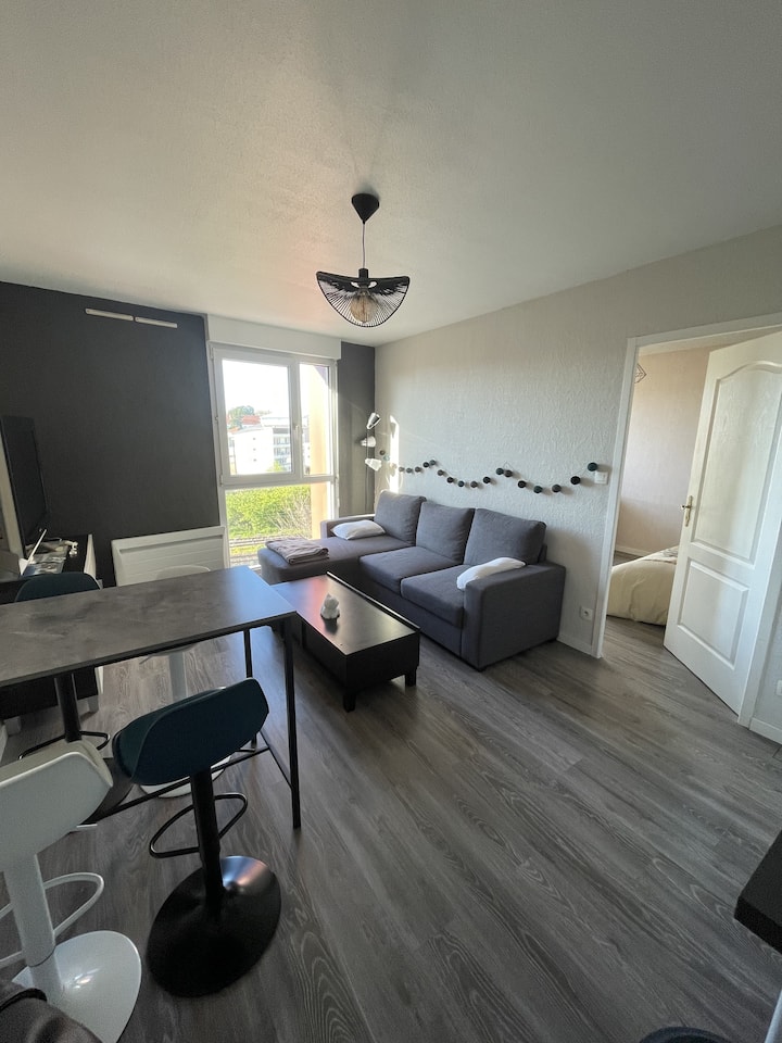 Appartement Lumineux - Besançon