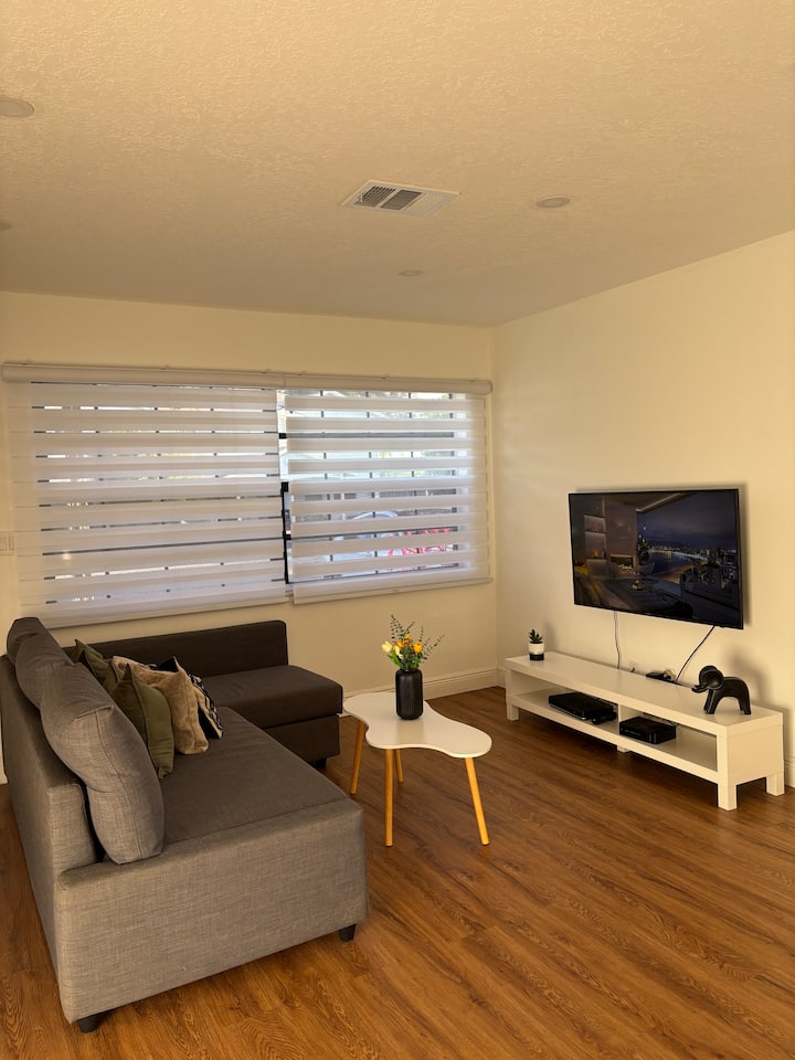 Soflo Live Local | Office Setup + Backyard - Pembroke Pines, FL