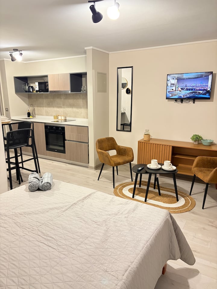 Moderno Studio + Metro Santa Lucía + Wifi - Santiago