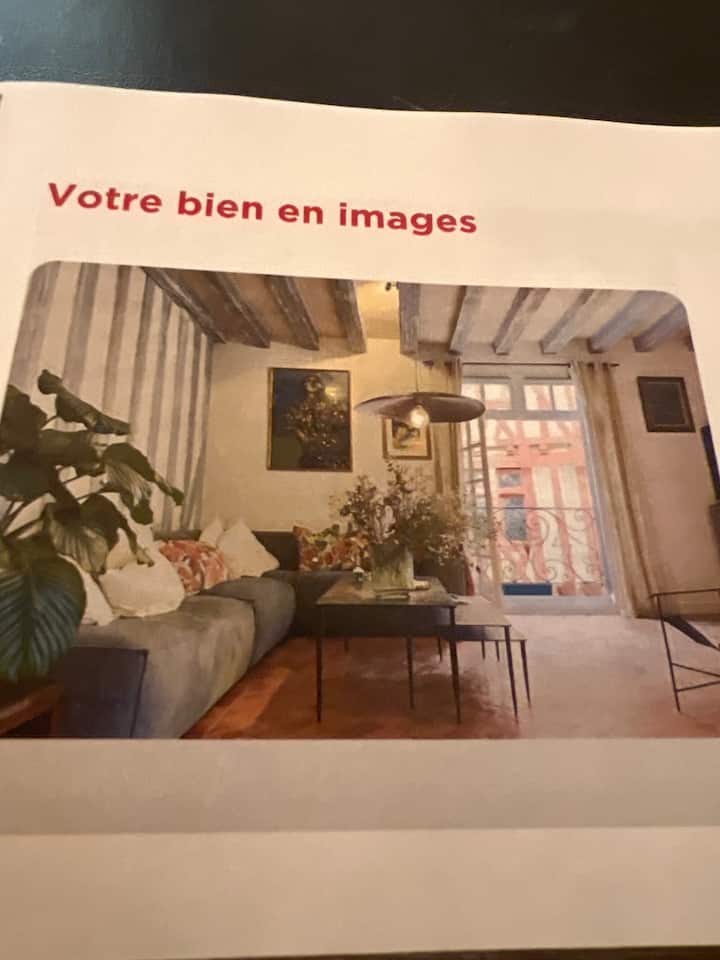 Appartement Au Cœur Du Vieux Mans - Arnage