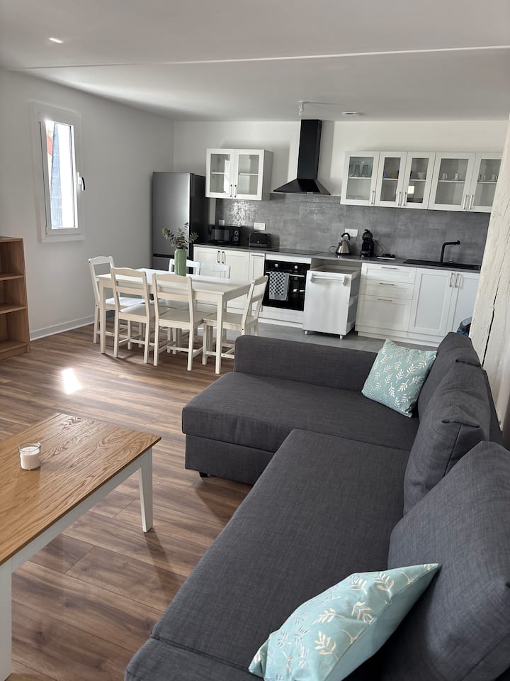 Pépite Centrale 3 Chambres 2 Salles De Bain Clim - Vierzon