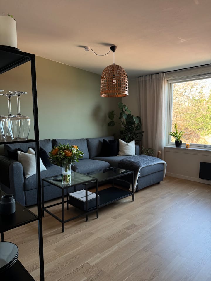 Studioleilighet I Molde - Molde