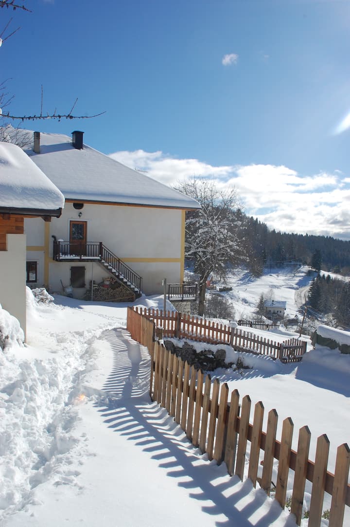 Appartamento Con Vista Su Giardino E Bosco - Folgaria