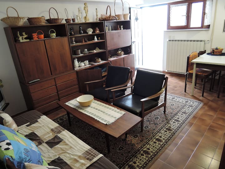 Villa Parenzana - Hortenzija - Portorož