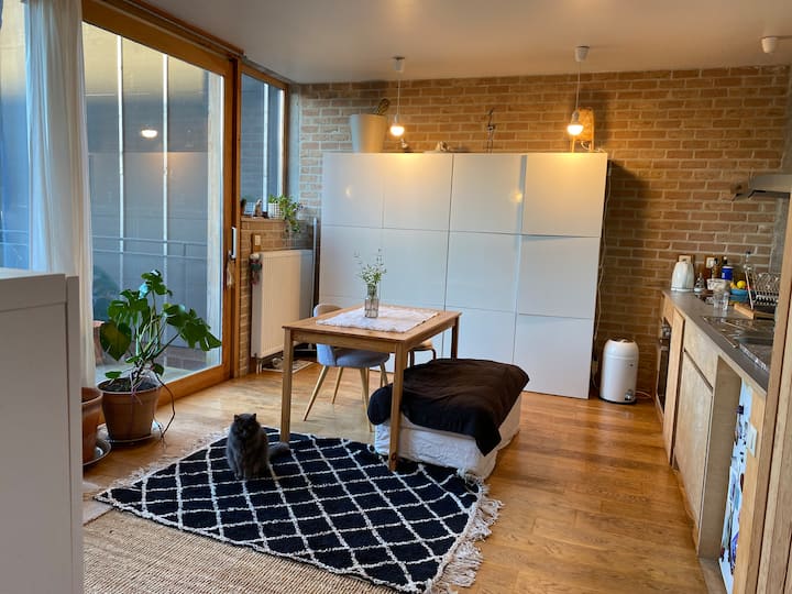 Loft Lumineux Sur 3 Niveaux, Terrasse & Jardin - Ottignies-Louvain-la-Neuve