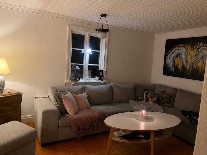 Charmigt Lantligt Hus Med Stor Trädgård &Gäststuga - Trollhättan