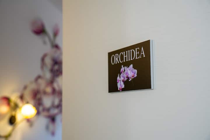 Camera Tripla - Orchidea - Fiumicino