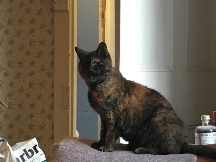 Badger's Bothy - Spean Bridge