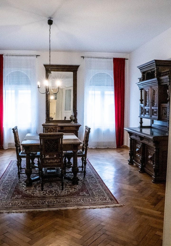 Luxuriöse Altbauwohnung Mit Wuff-effekt - Graz