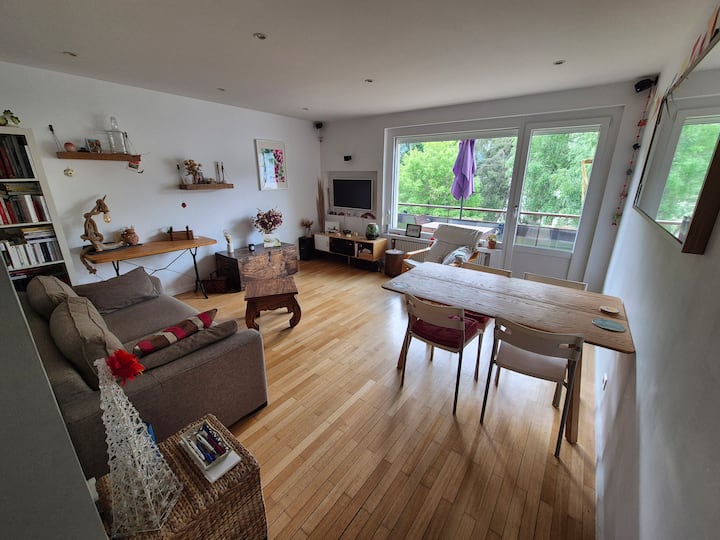Appartement Avec Balcon Annecy Proche Du Lac - Annecy