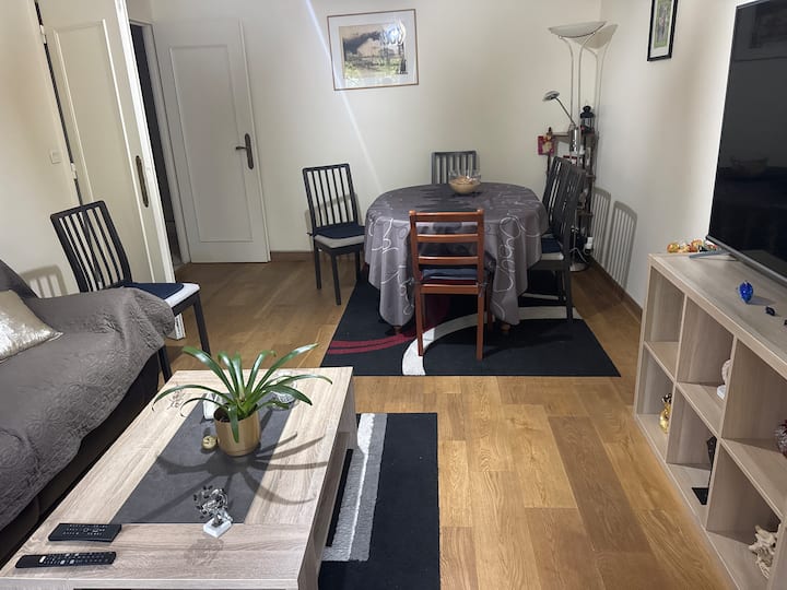 Appartement Cosy Proche De Paris Et Proche Du Rer - Villemomble