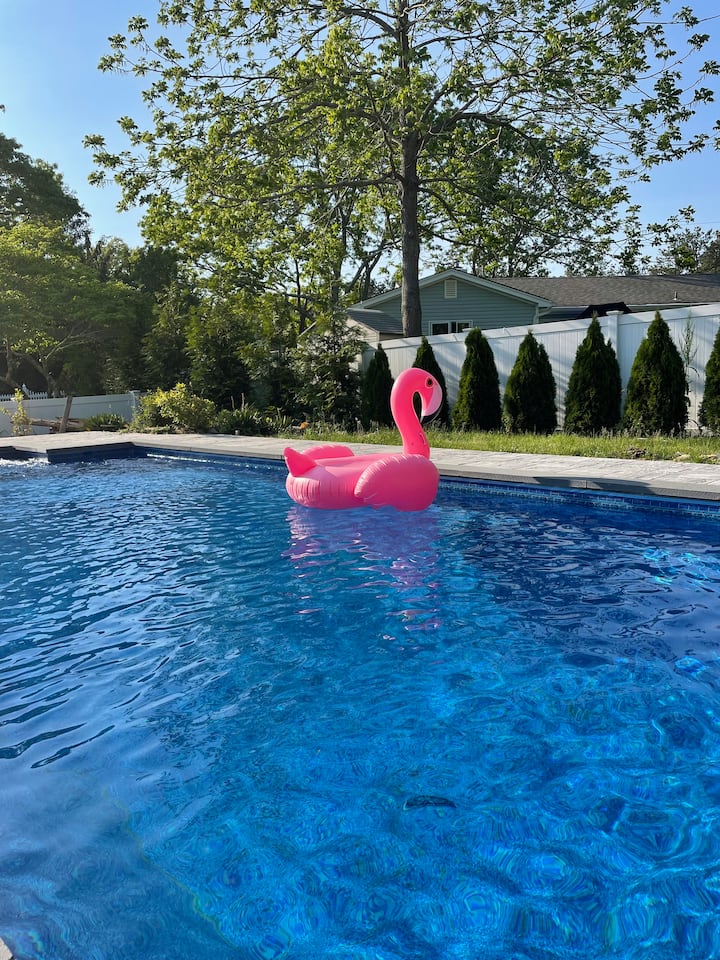 Hamptons Flamingo - Westhampton, NY