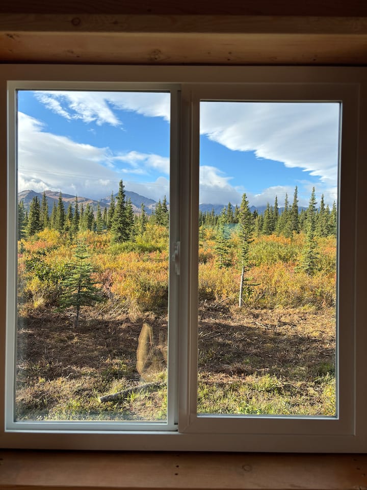 New 2026 Denali Bliss Studio | Mtn Views & Comfort - Alaska