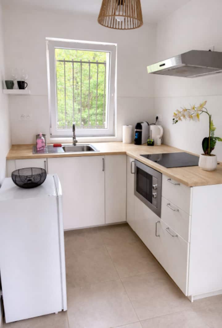 Appartement Cosy 1 Chambre Avec 
Sdb Et Cuisine - Tarbes