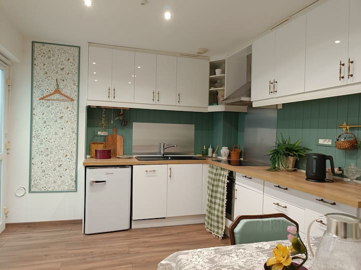 Petit Appartement Cosy - Wasselonne