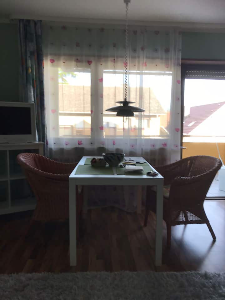 Apartment Mit Balkon Und Stellplatz - Eppelheim