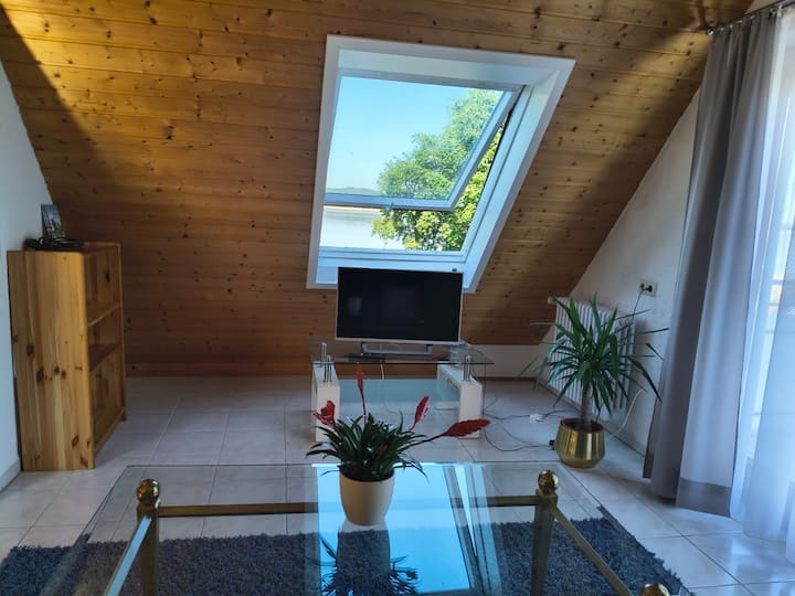 Wohnung Auf Der Insel Mit Seesicht & Privatstrand - Reichenau