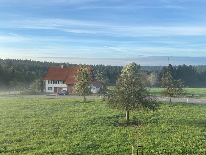 Ferienhaus Nordschwarzwald 1-2 Personen - Bad Wildbad