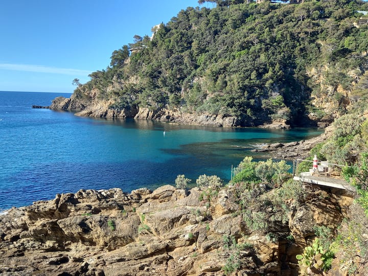 Appartement Grande Vue Mer - Cavalaire-sur-Mer