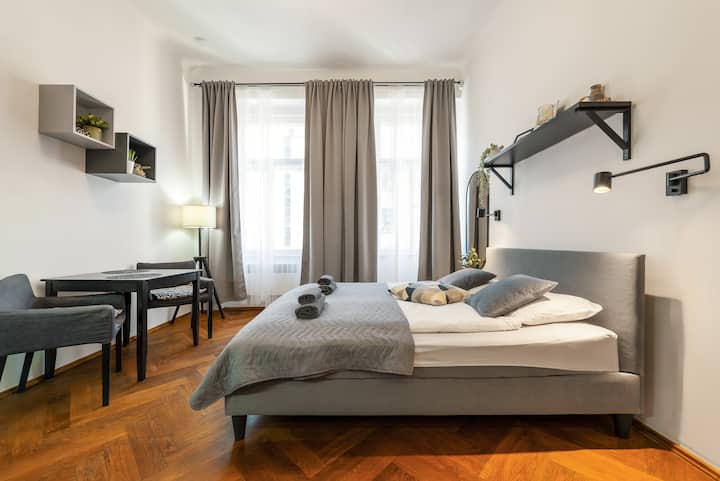 Z Classy Apartment - Prag