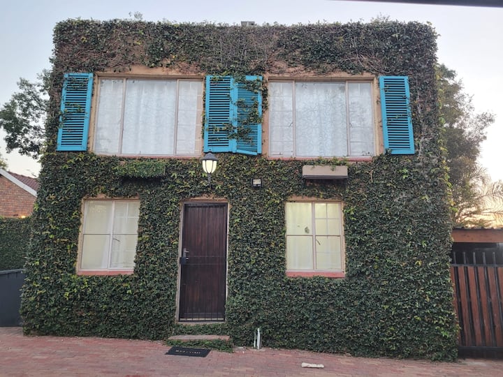 Dream Big Bougainvillea - Centurion