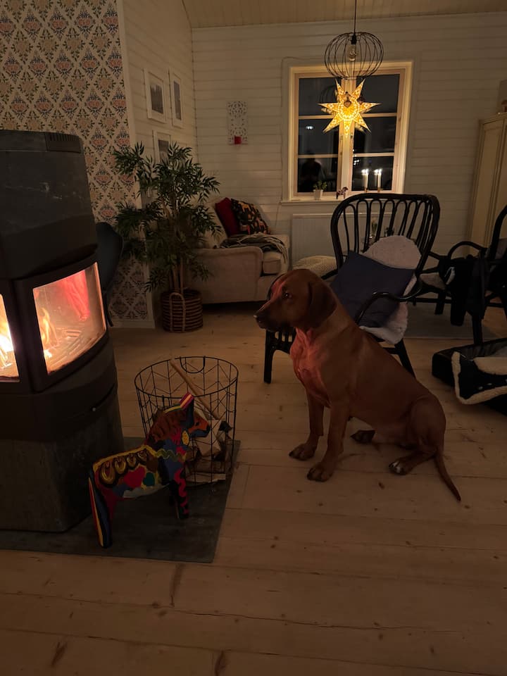 Fint Litet Hus I Hjärtat Av Dalarna - Mora