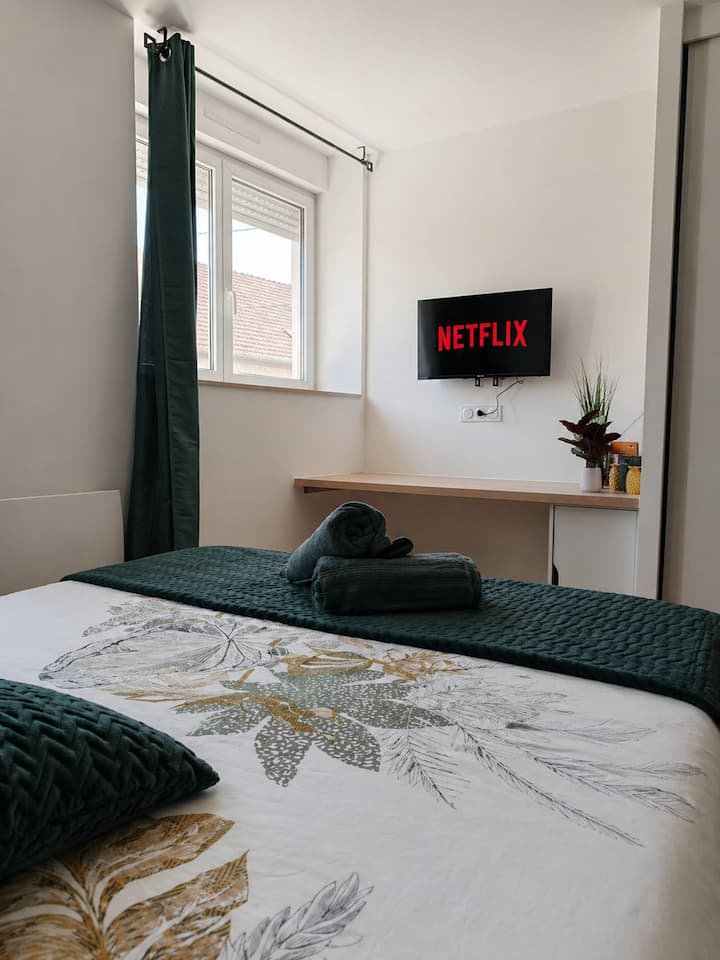 L’escale Tropicale (Gare/parking/appartement Neuf) - Besançon