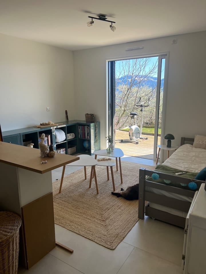 Chambre Sur Les Hauteurs D Annecy Vue Montagne&lac - Annecy