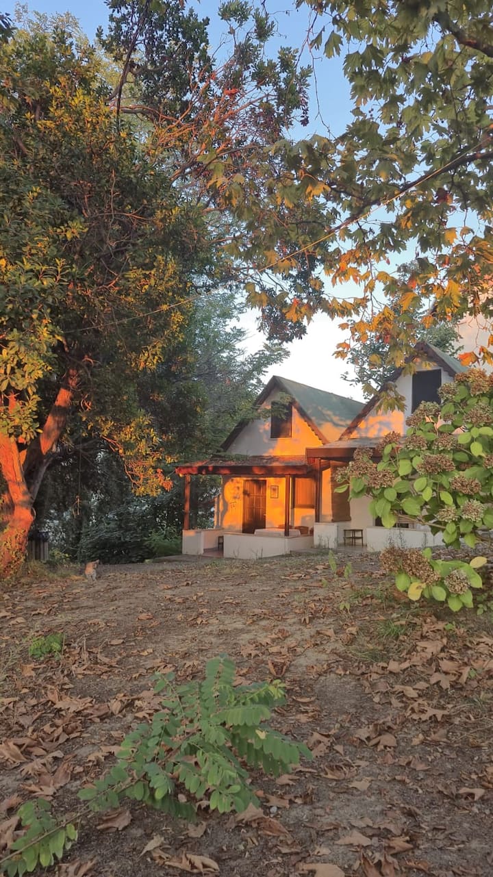 Sindoma Habitat - Bolu