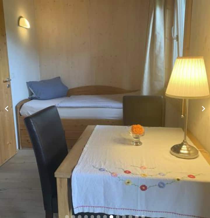 Ruhiges Zimmer Mit Eigenem Bad, Eingang, Terrasse - Rosenheim