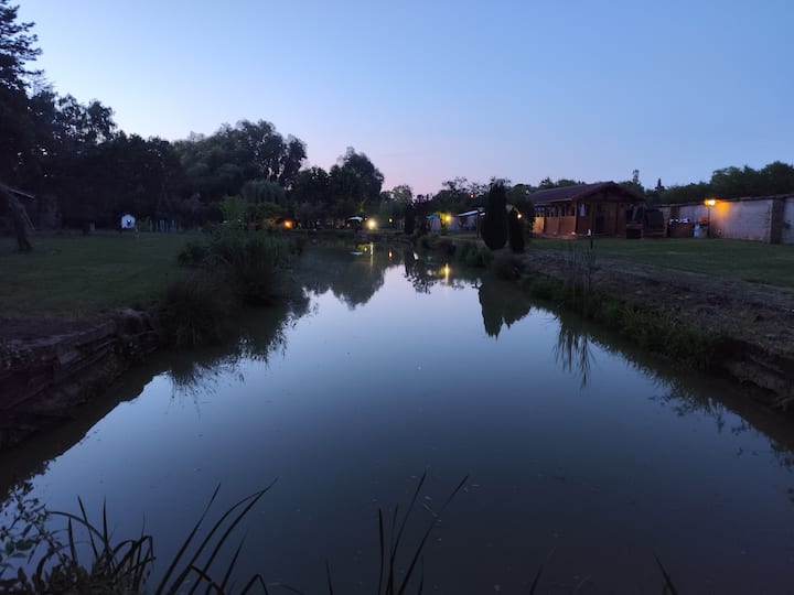 Le Clos Privé Nature - éTang, Détente Et Barbecue - Lorraine
