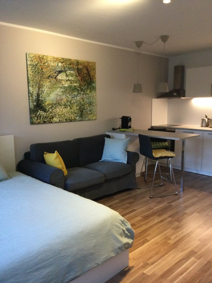 Komfortable Ruhige Und Gemütliche Wohnung - Augsbourg