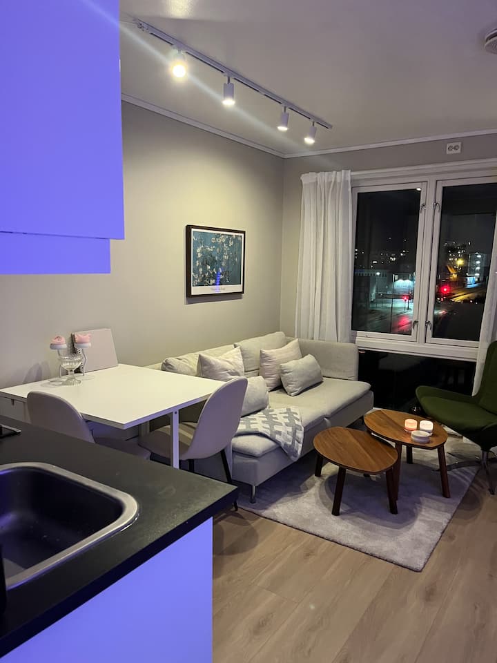 Koselig Og Sentral Leilighet På Lilleby - 挪威