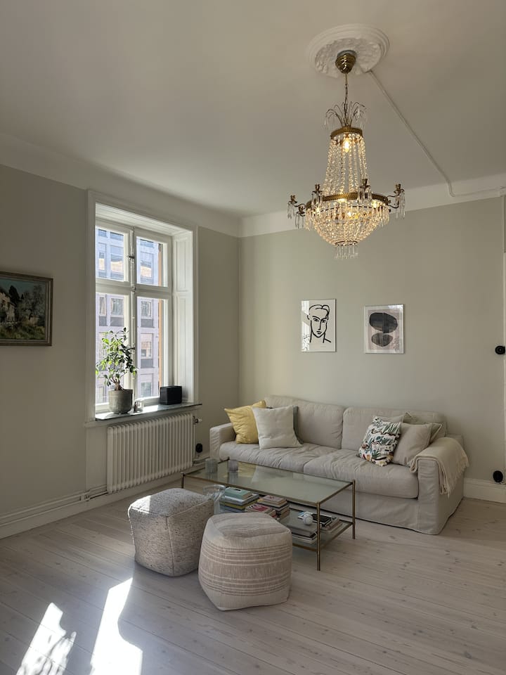 Lys Og Rummelig Lejlighed Midt I Stockholm - Estocolmo